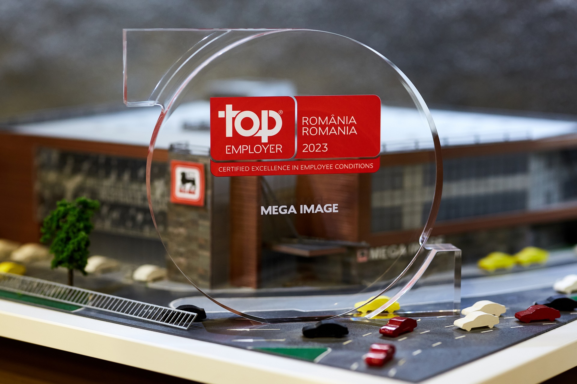 Cariera ta la Mega Image | Mega Image